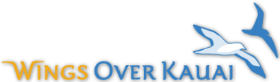 Wings Over Kauai | Kauai Air Tours - Na Pali Coast