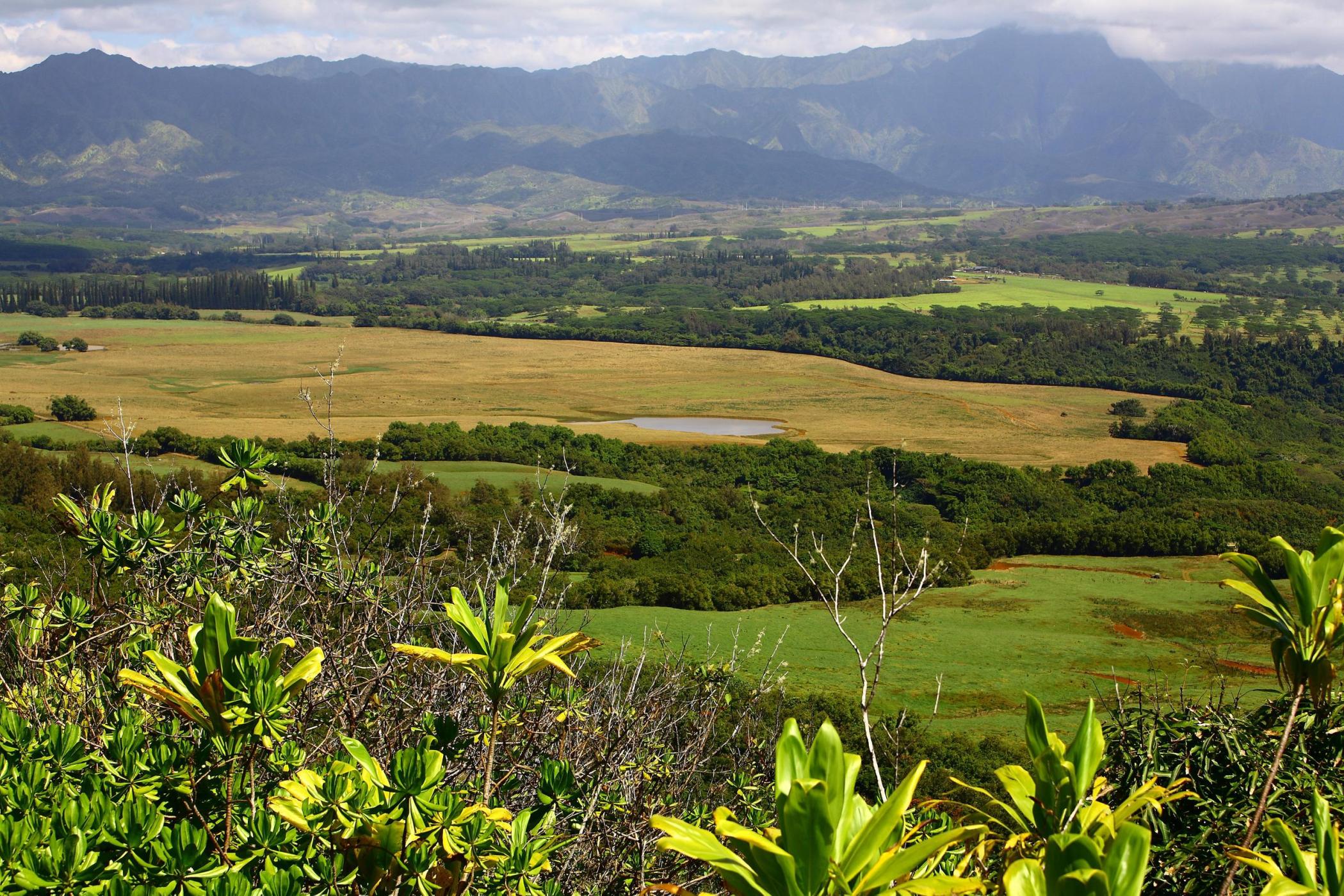 Other Things to Do | Wings over Kauai